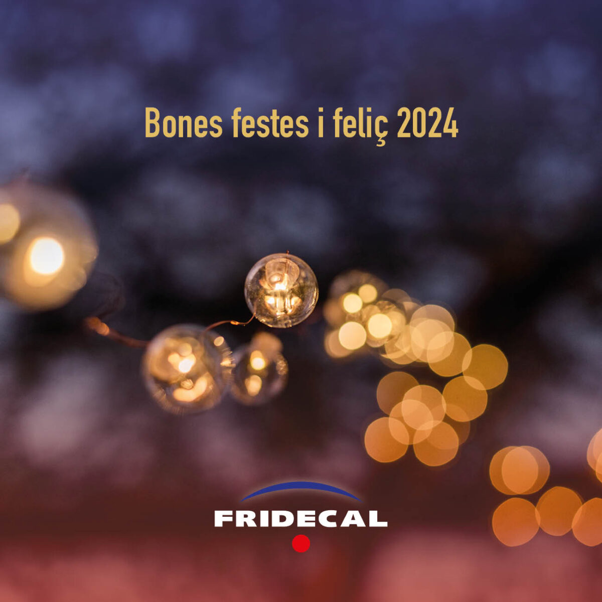 Bones festes i feliç 2024 – Fridecal